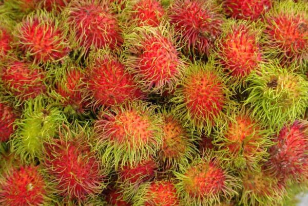 The Best Asian Fruits | 10 Must Try Fruits + 1 Weird Fruit To Avoid!