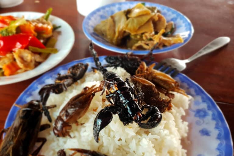 Weird Asian Food…The Good, The Bad And The Downright Ugly