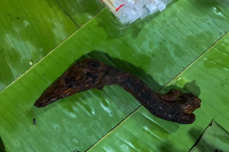 Weird Asian Food…The Good, The Bad And The Downright Ugly