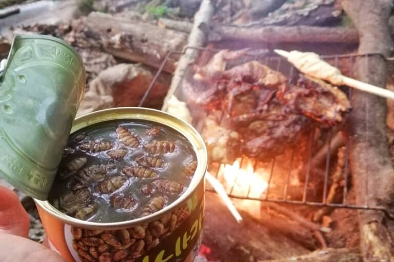 Weird Asian Food…The Good, The Bad And The Downright Ugly