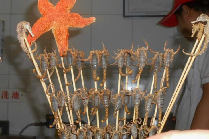 Weird Asian Food…The Good, The Bad And The Downright Ugly