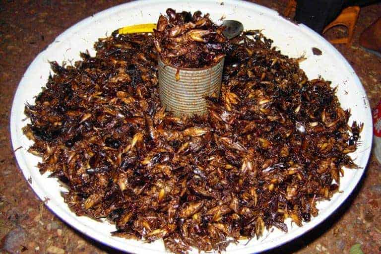 Weird Asian Food…The Good, The Bad And The Downright Ugly