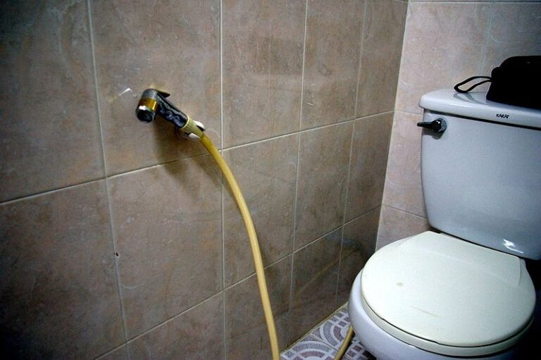 The Bum Gun, a Beginner's Guide, 'Cos Toilets in Asia Ain't Easy