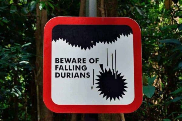 Top 15 South East Asian Signs! - South East Asia Backpacker