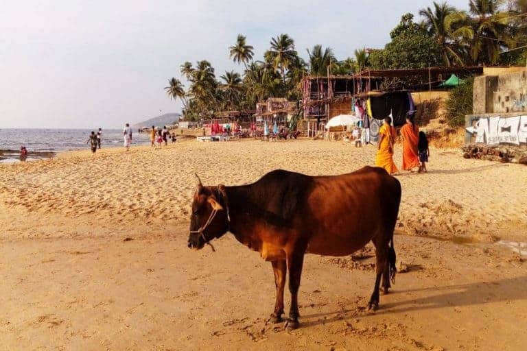Goa Backpacking Guide: Where to Go, What to Avoid & The Best Beaches