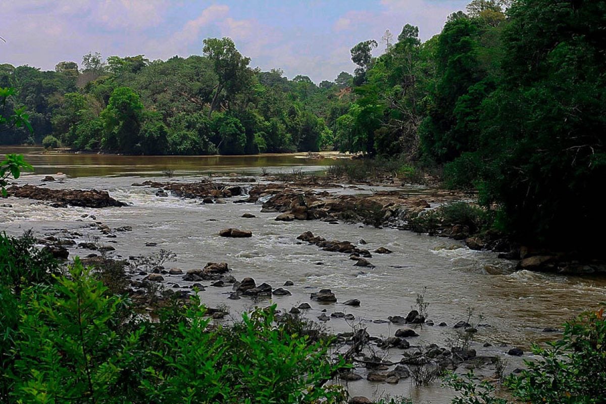 Cat Tien National Park: Singing Gibbons and Crocodiles