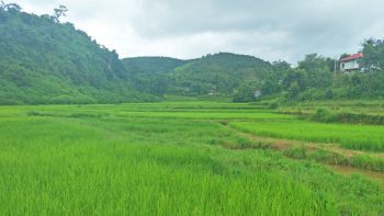 Kalaw - The Definitive Guide to Myanmar's Refreshing Hill Station