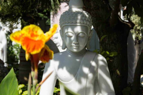Asian Quotes to Guide Us Through Life, Love and Suffering