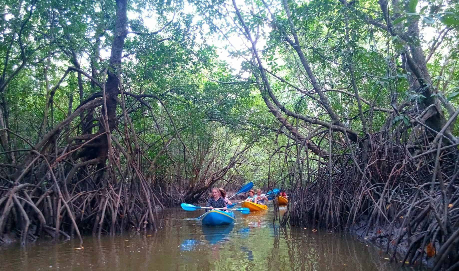 Khanom Thailand - A Hidden Paradise with Pink Dolphins!