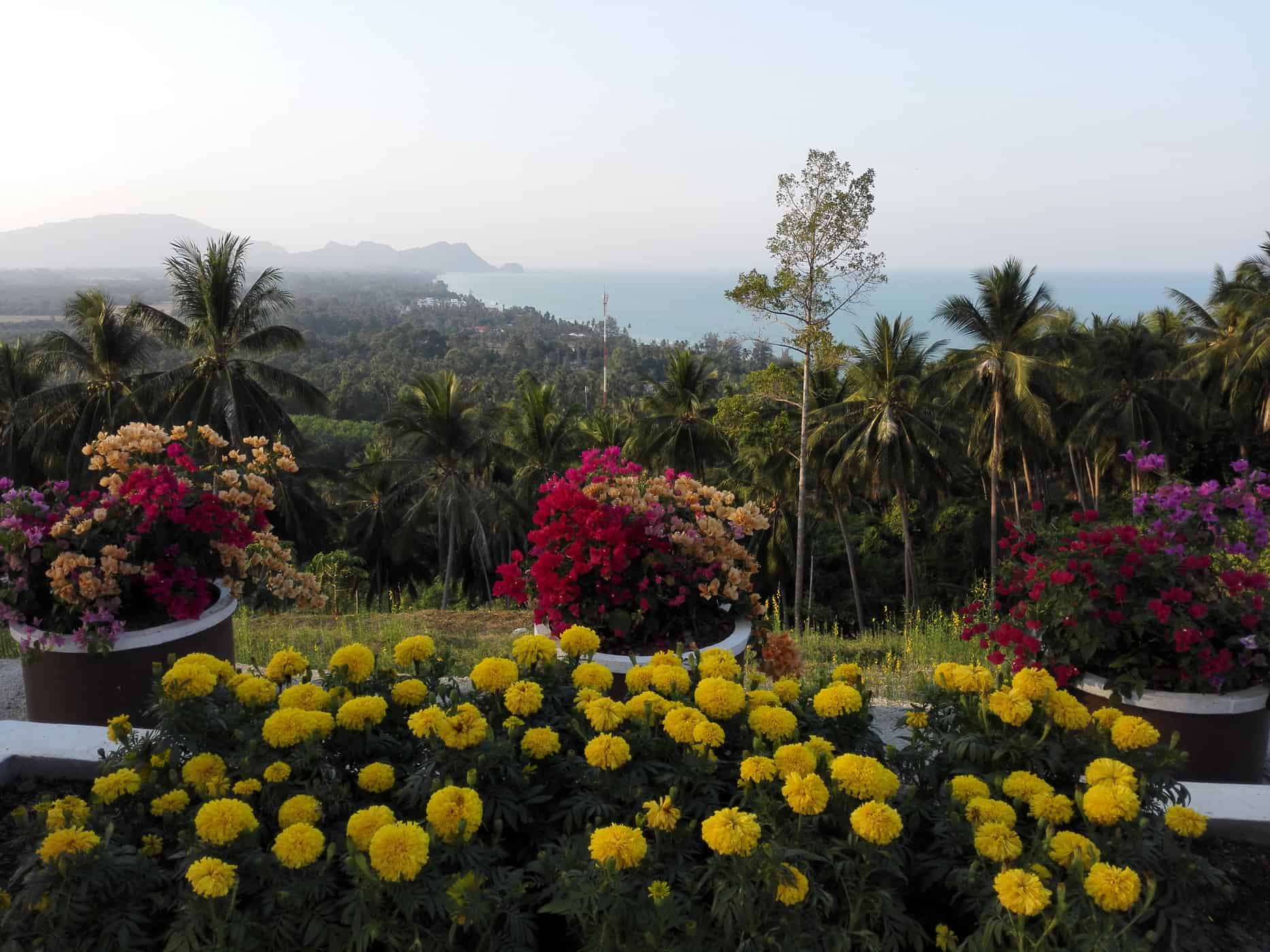 Khanom Thailand - A Hidden Paradise with Pink Dolphins!