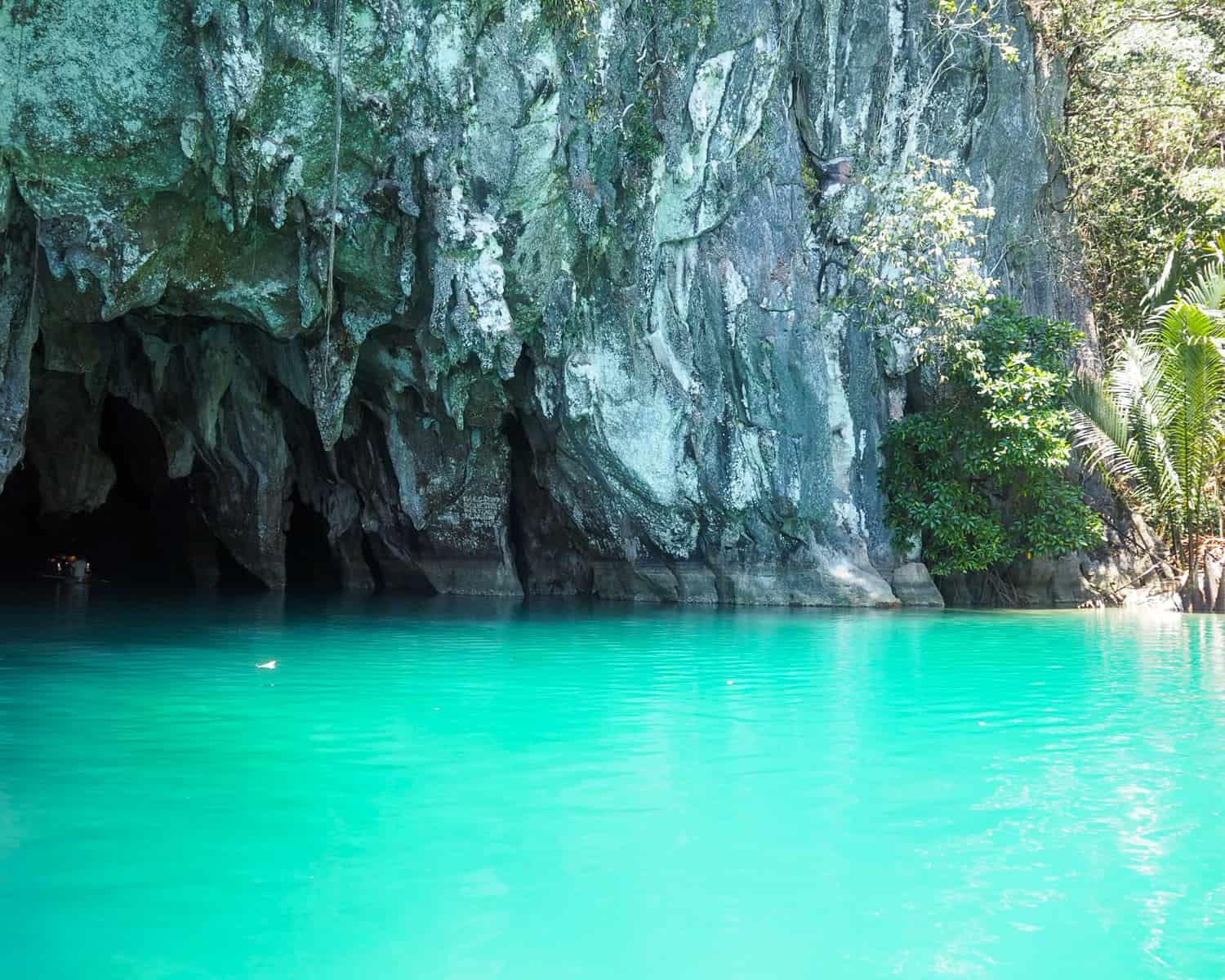 Puerto Princesa Underground River Tour or Independent DIY Visit?