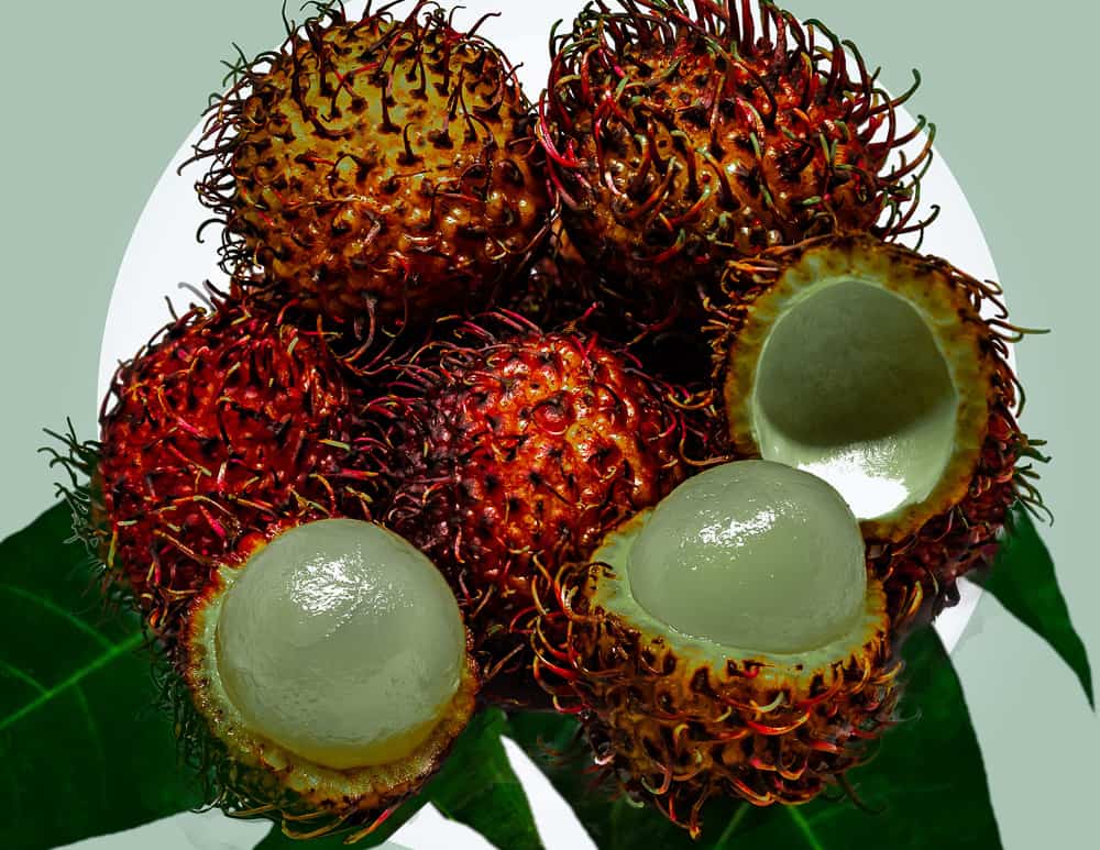 Jungle Trekking in Bukit Lawang: A Sustainable Guide