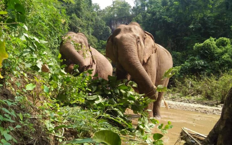 Facts about Asia - 49 Fun & Fascinating Asia Facts!