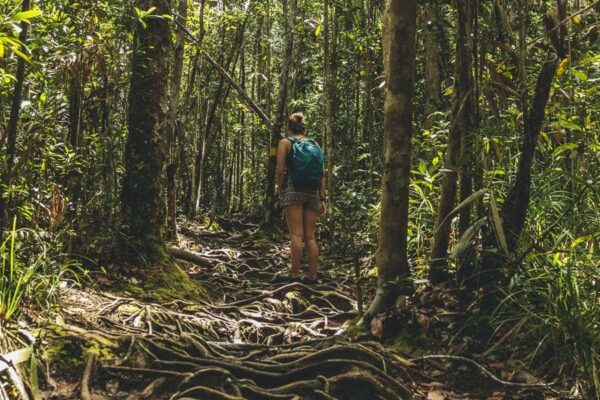 Borneo Itinerary - How to Spend 3 Weeks in Eastern Malaysia!