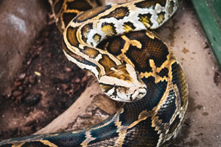 21 Phenomenal Facts About The Philippines You Might Not Know!