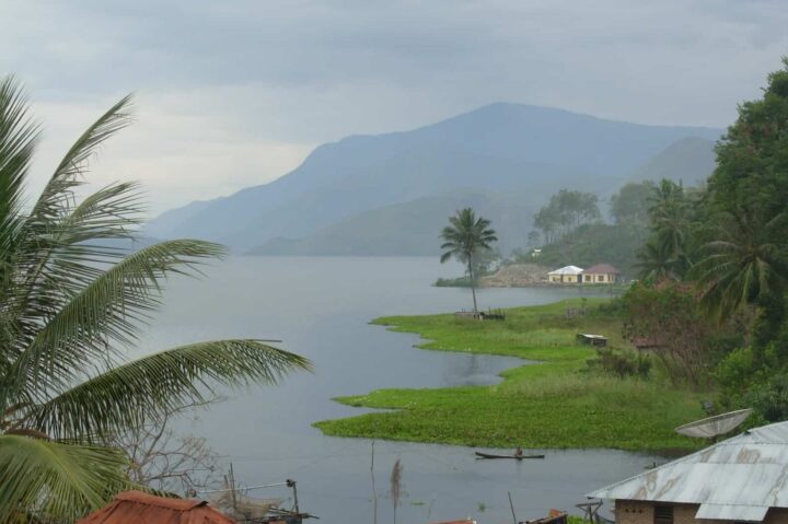 Borneo or Sumatra – Which is Right for You?