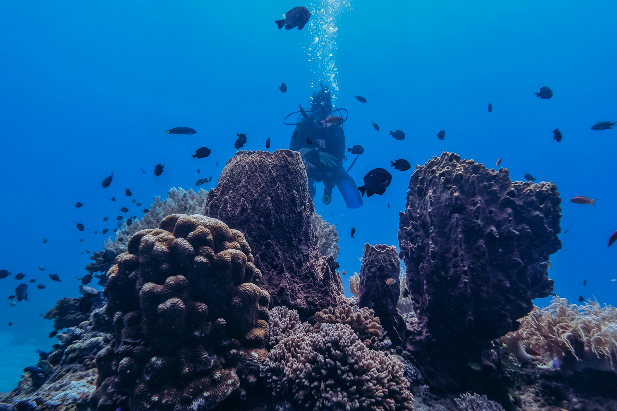 21 Amazing Places to Visit in Indonesia