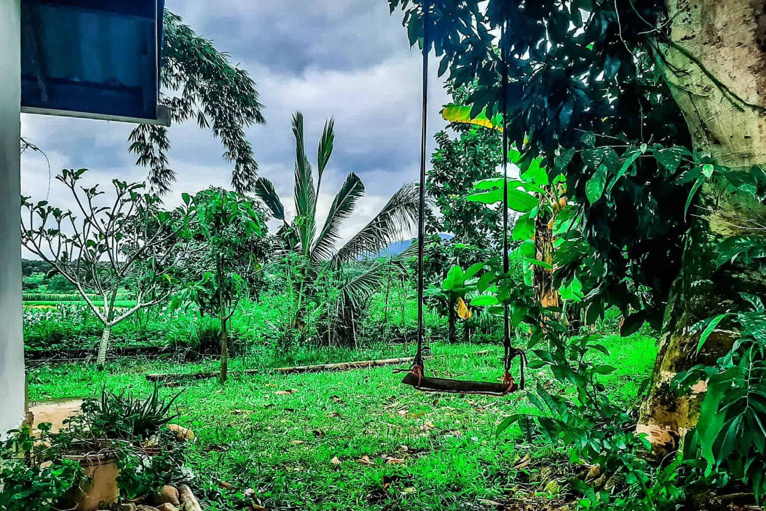 1 Week - 6 Months Muay Thai Training Experience in Pai, Northern Thailand