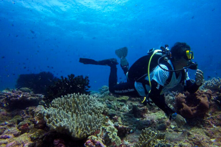 Diving in Indonesia: 8 Bucket List Dive Sites