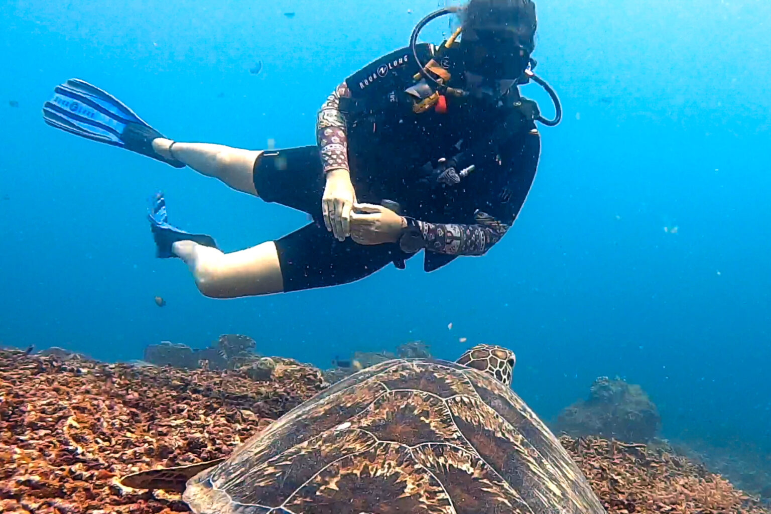 Diving in Indonesia: 8 Bucket List Dive Sites