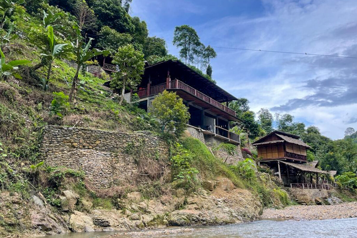 Meditation Retreat & Orangutan Trek | Bukit Lawang, Indonesia