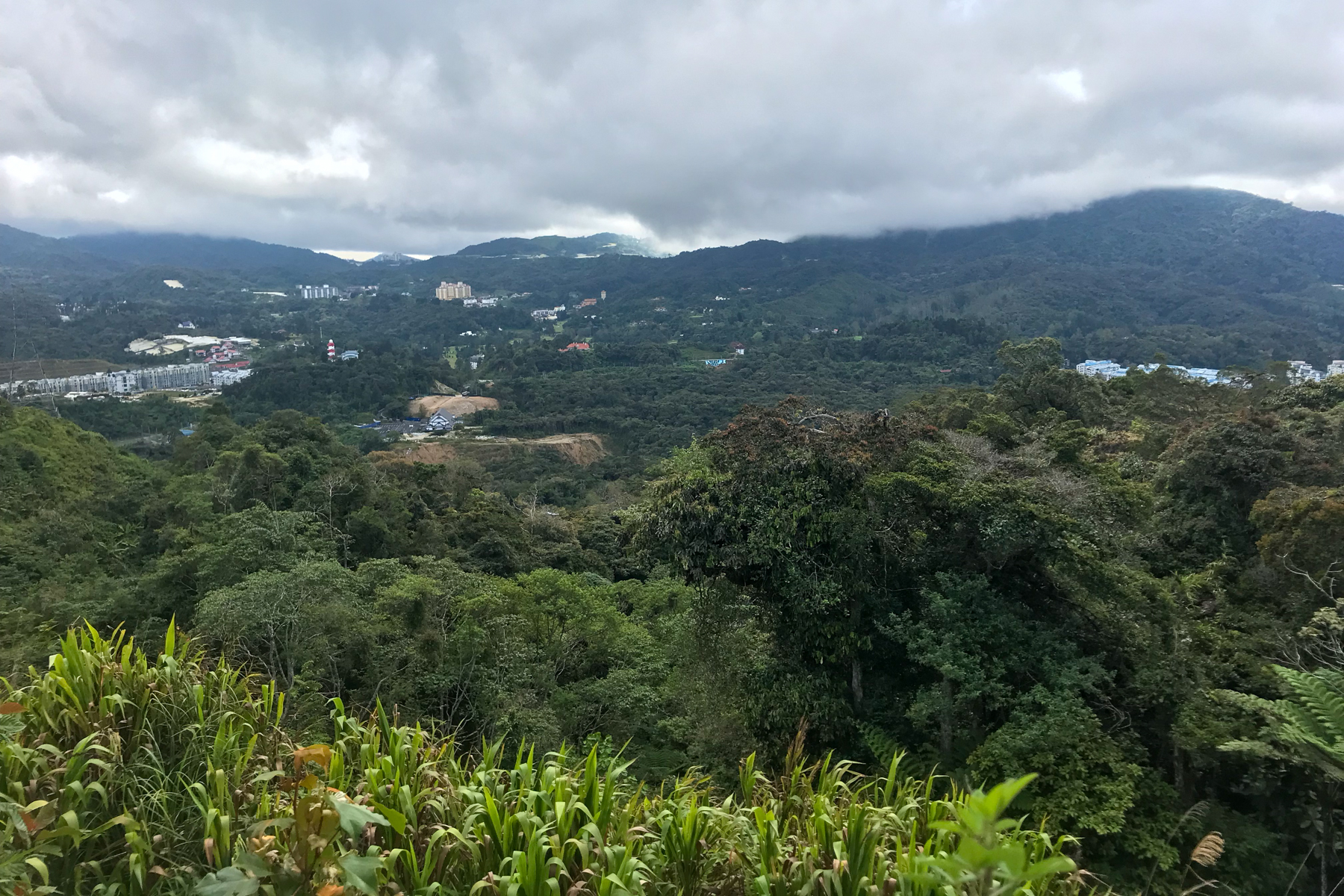 Cameron Highlands Hiking Guide [2026]