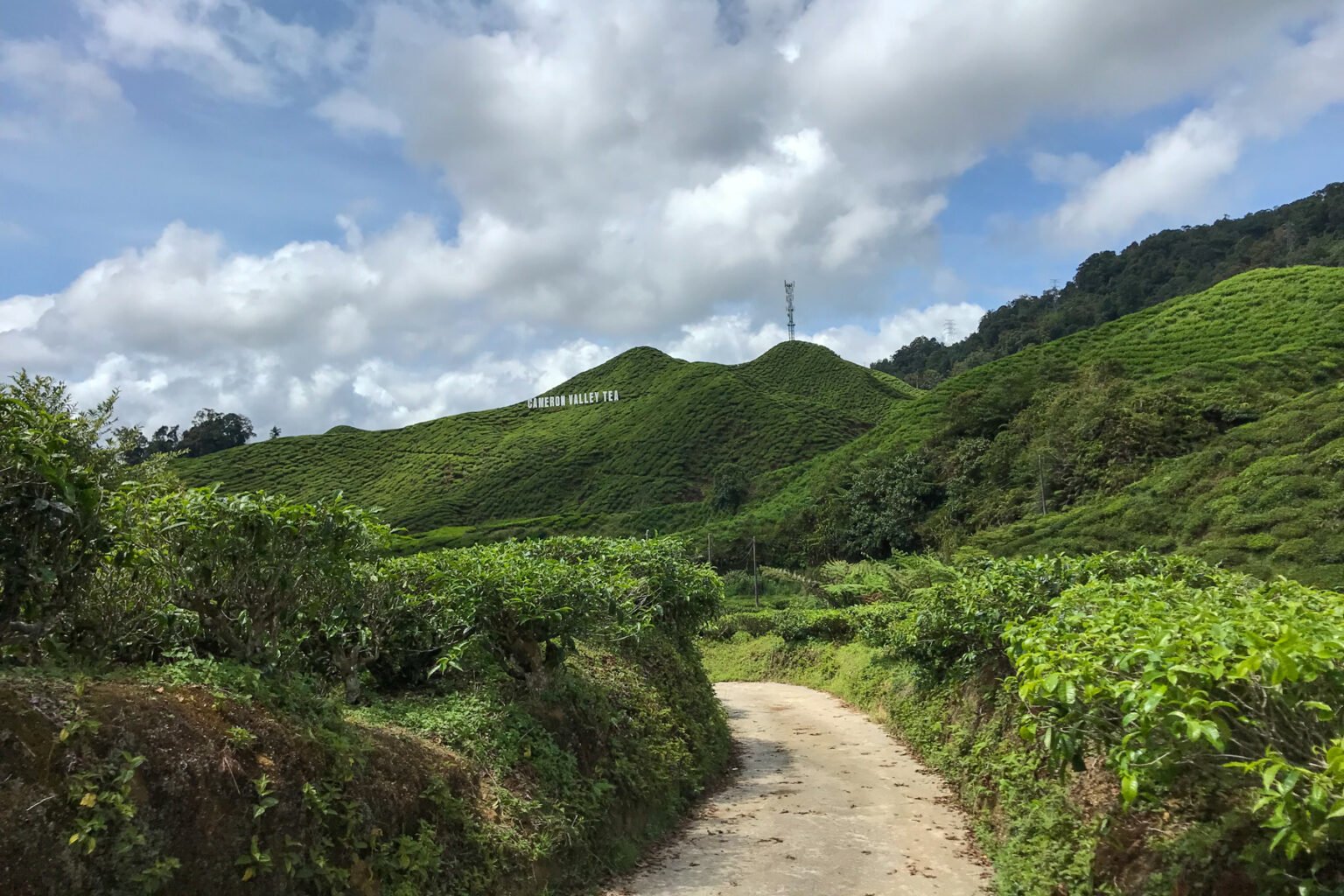 Cameron Highlands Hiking Guide [2025]