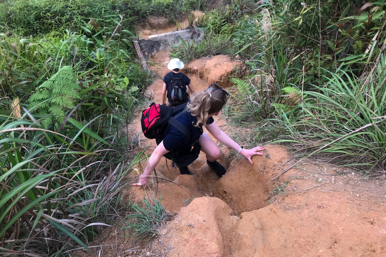 The Cameron Highlands Guide - Southeast Asia Backpacker Magazine