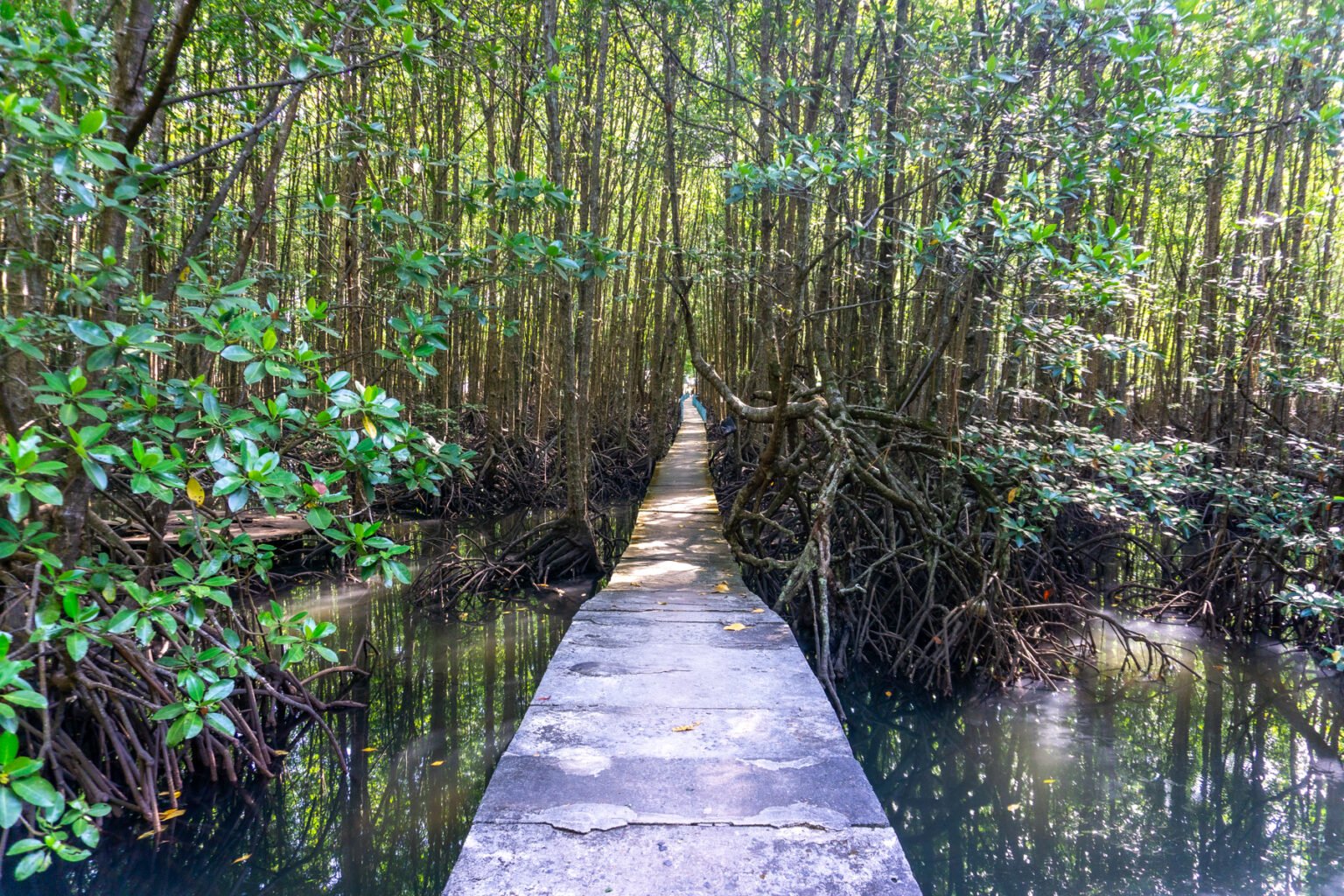Koh Kong Cambodia – Travel Guide