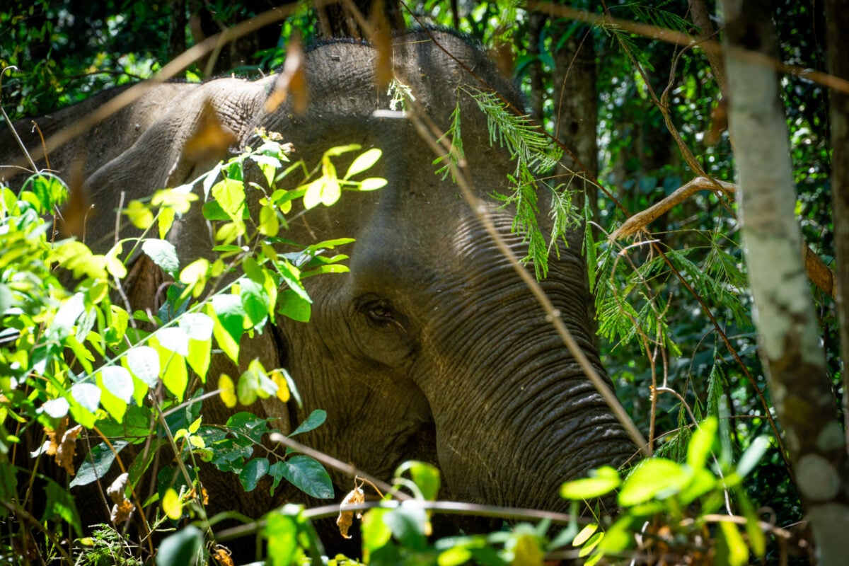 Cambodia Itinerary - Written By Travellers For Travellers!