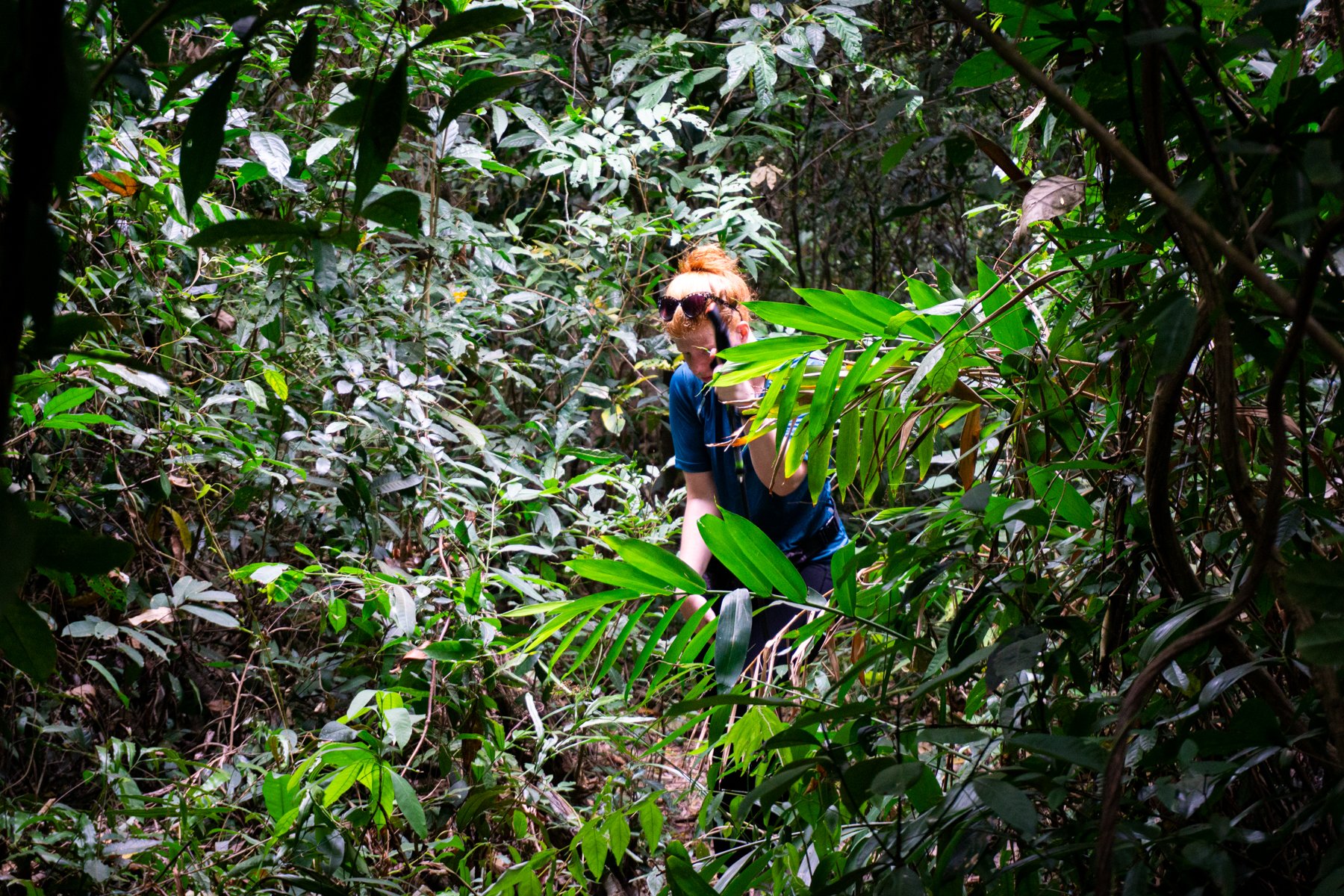 Kep National Park – Cambodia's Smallest National Park!