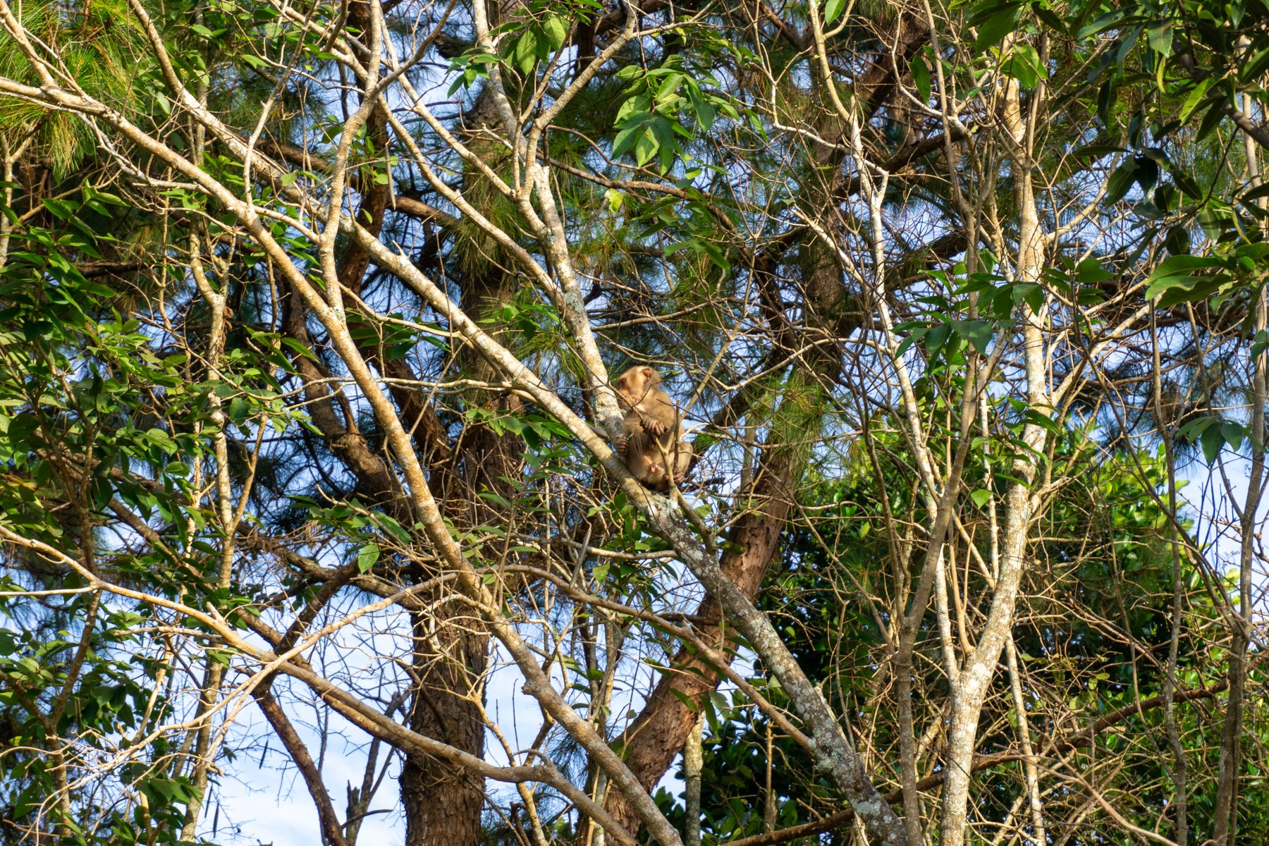 Sen Monorom (Mondulkiri), Cambodia – Travel Guide