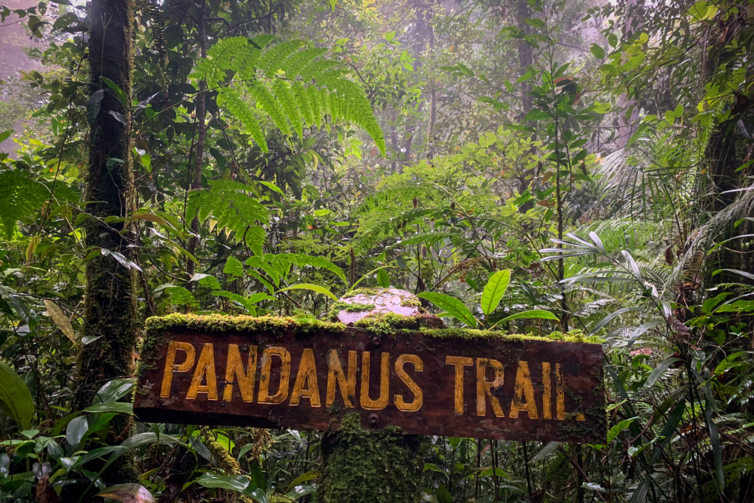Kinabalu National Park – A Guide for Travellers in Borneo!
