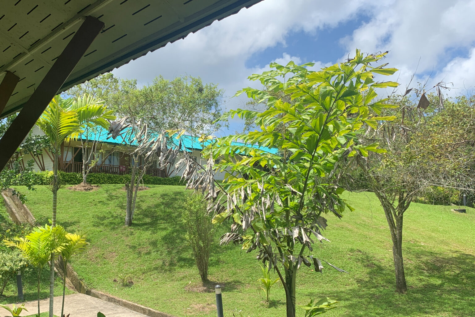 Sepilok, Malaysian Borneo – Travel Guide