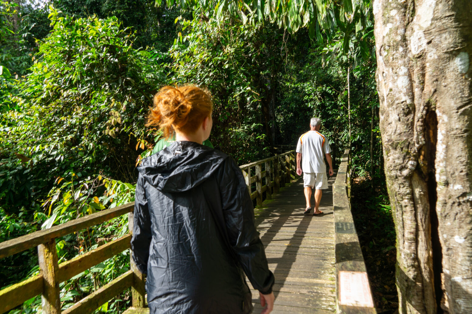 Sepilok, Malaysian Borneo – Travel Guide