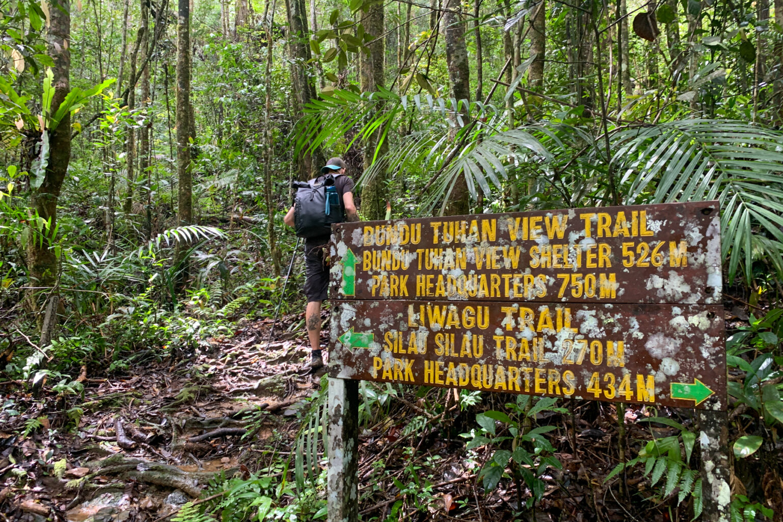Kinabalu National Park – A Guide for Travellers in Borneo!