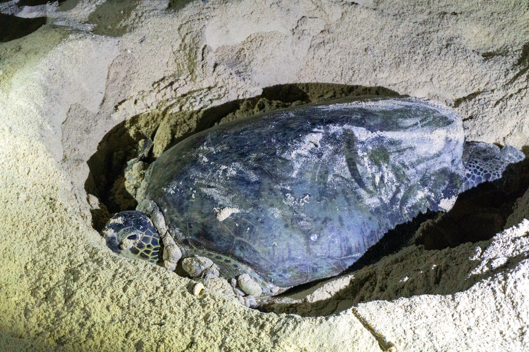 Borneo Itinerary – Malaysian Borneo Travel Routes