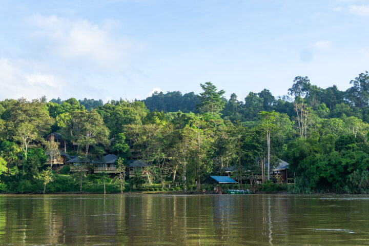 Kinabatangan River – What You Need to Know Before Booking!