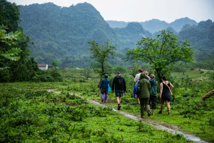The Best Tours in Vietnam – Adventure Awaits! 🇻🇳