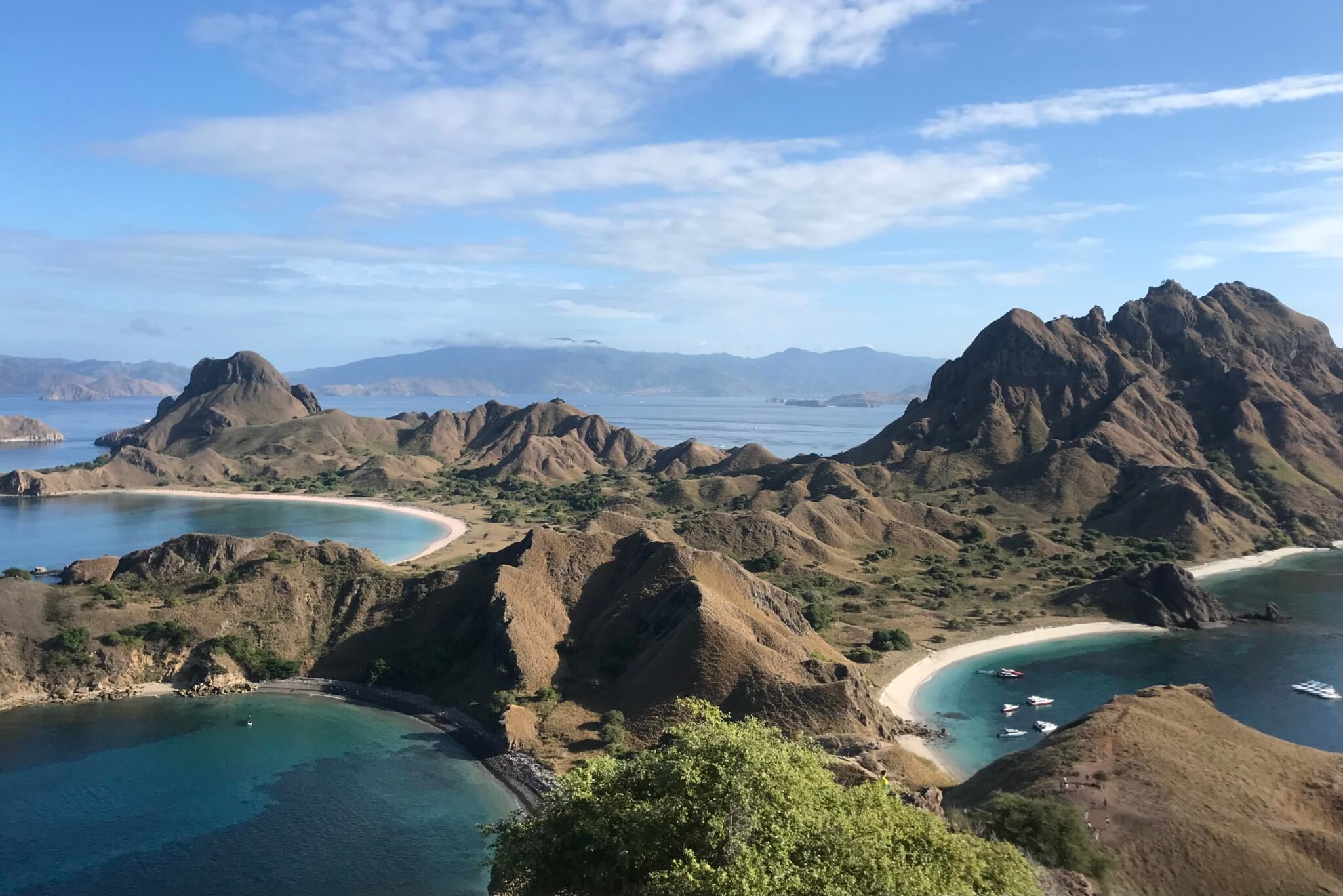 Is Borneo Safe? A Guide for Travellers! 🚨