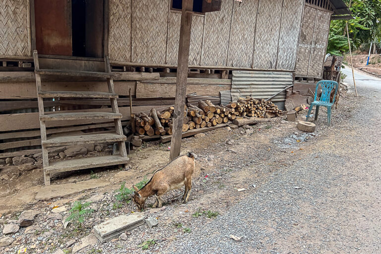 Pak Beng Laos, What to Expect and Where to Stay!