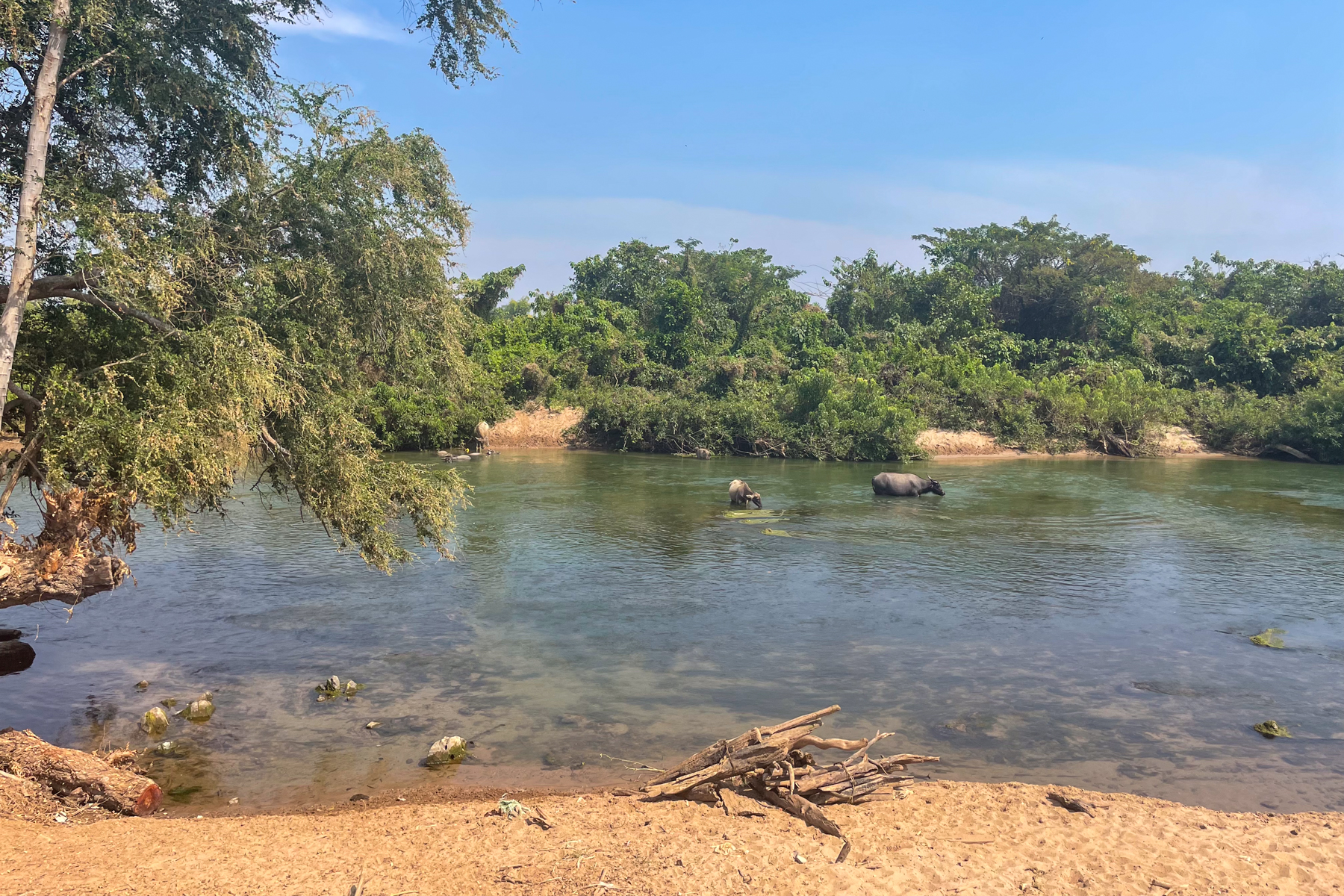 4000 Islands, Laos: The Only Travel Guide You'll Ever Need!