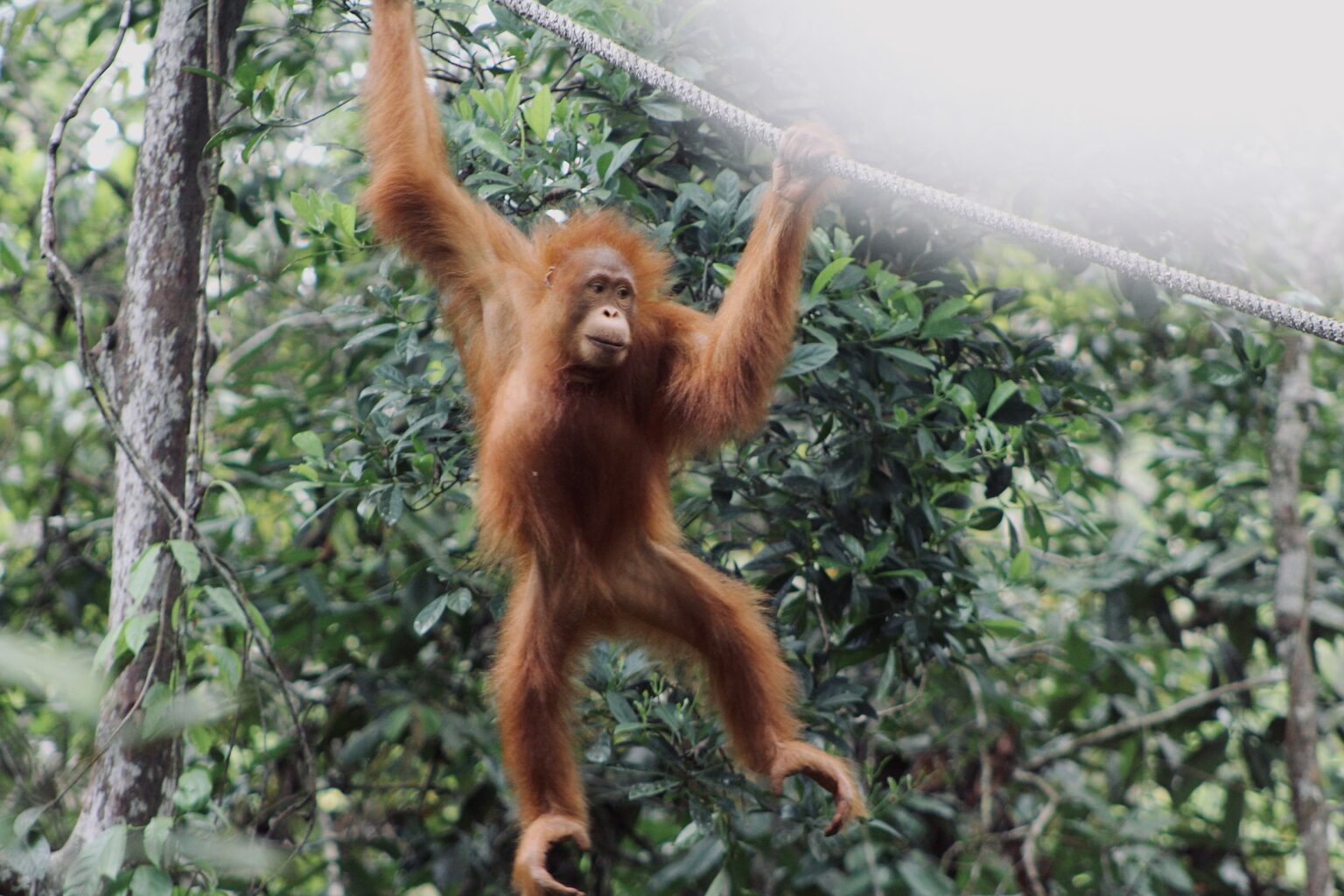 Backpacking Borneo: A Guide for Solo Female Travellers